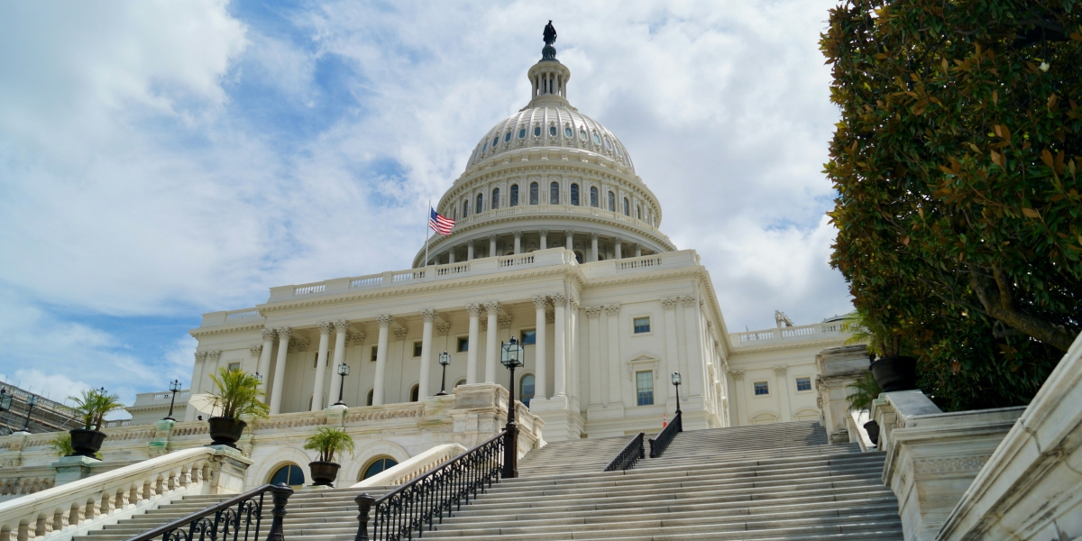 Seth David Radwell: Bridging America’s Political Divide Through ...